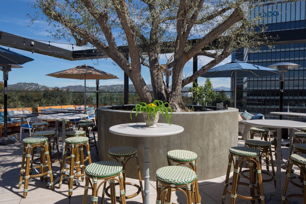 Earth, Gin, and Fire: Inside Terra Eataly’s New Rooftop Restaurant