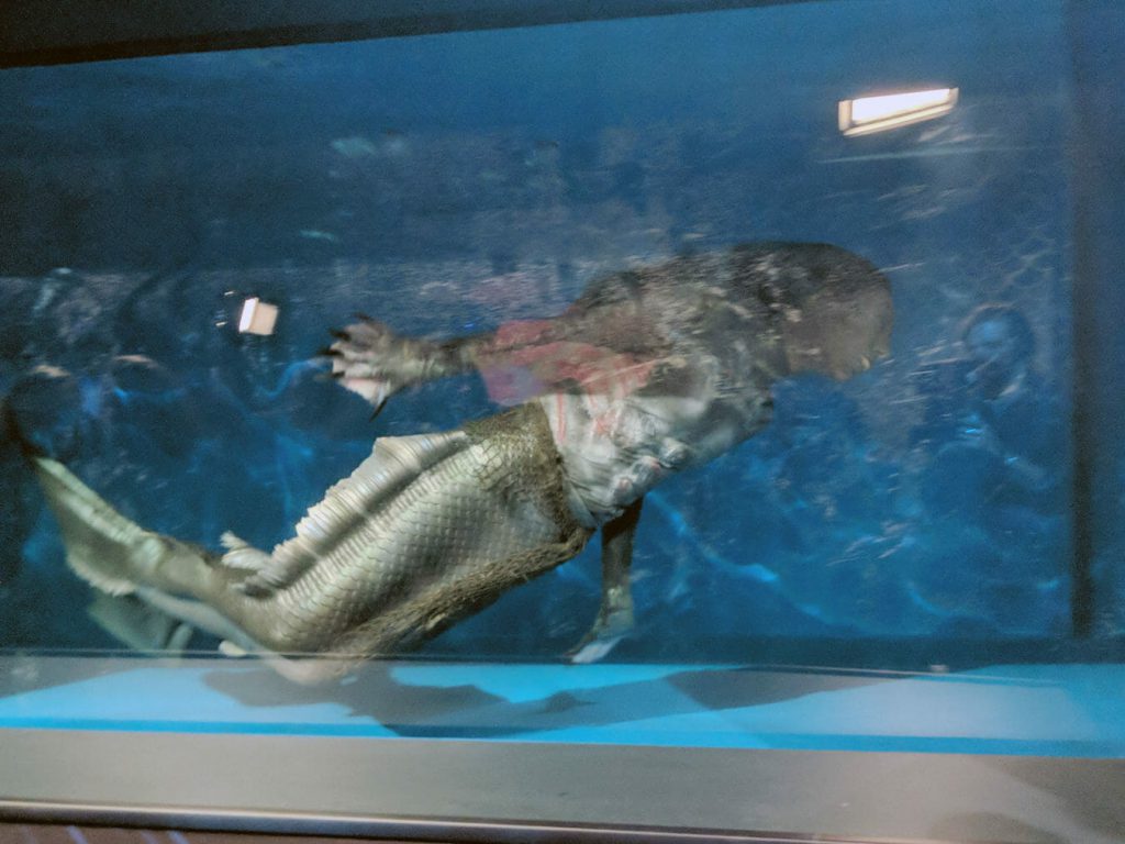 Photos: LA’s Mermaid Museum Promises A Giant Oyster, An Underwater ...