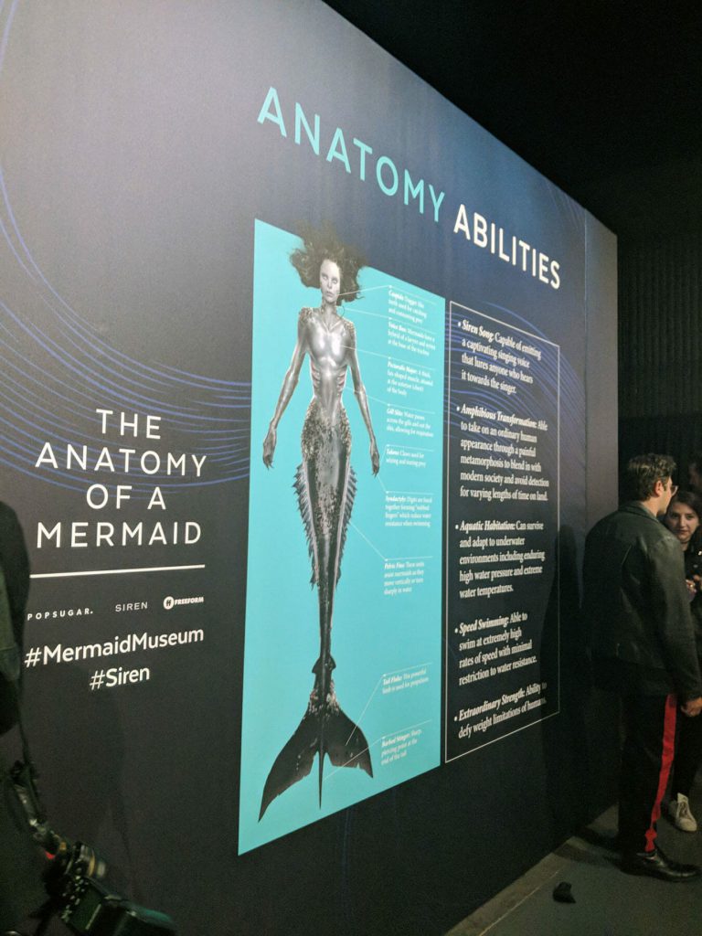 Photos: LA’s Mermaid Museum Promises A Giant Oyster, An Underwater ...