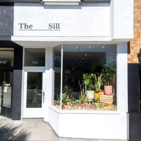 The Sill’s First West Coast Shop Is Ready to Please L.A. Plant People