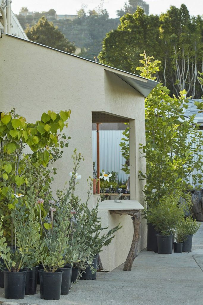 The Greenery Gurus Behind One of L.A.’s Coolest Landscaping Firms Have ...