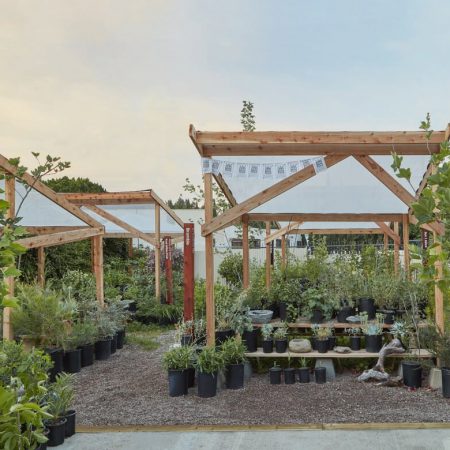 The Greenery Gurus Behind One of L.A.’s Coolest Landscaping Firms Have ...