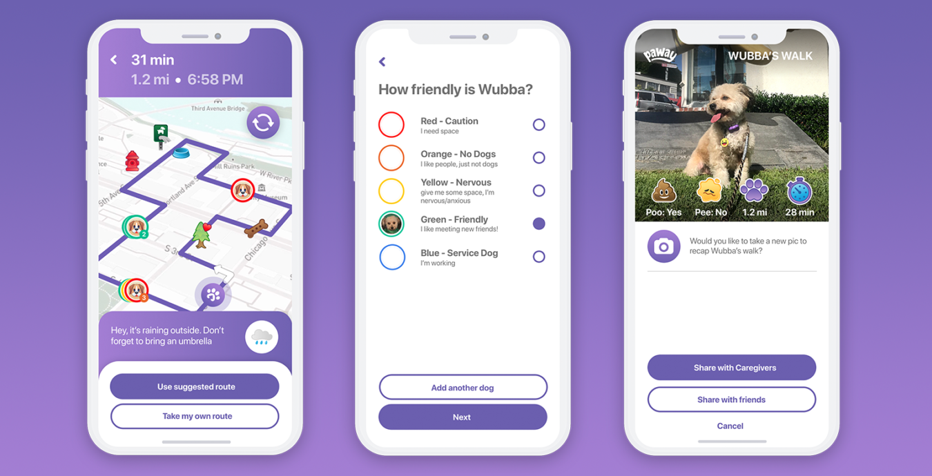 L.A.-Based Paway Launches Dog Walking Navigation App