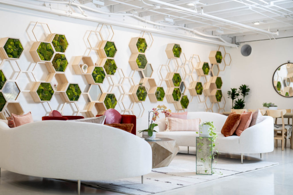 Field Trip Health Opens Psychedelic Therapy Clinic in Los Angeles