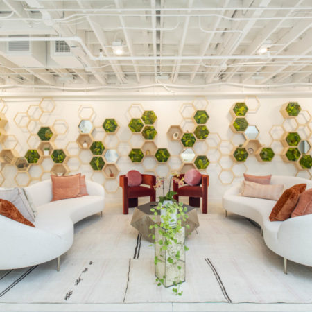 Field Trip Health Opens Psychedelic Therapy Clinic in Los Angeles