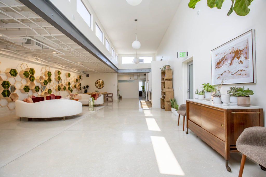 Field Trip Health Opens Psychedelic Therapy Clinic in Los Angeles